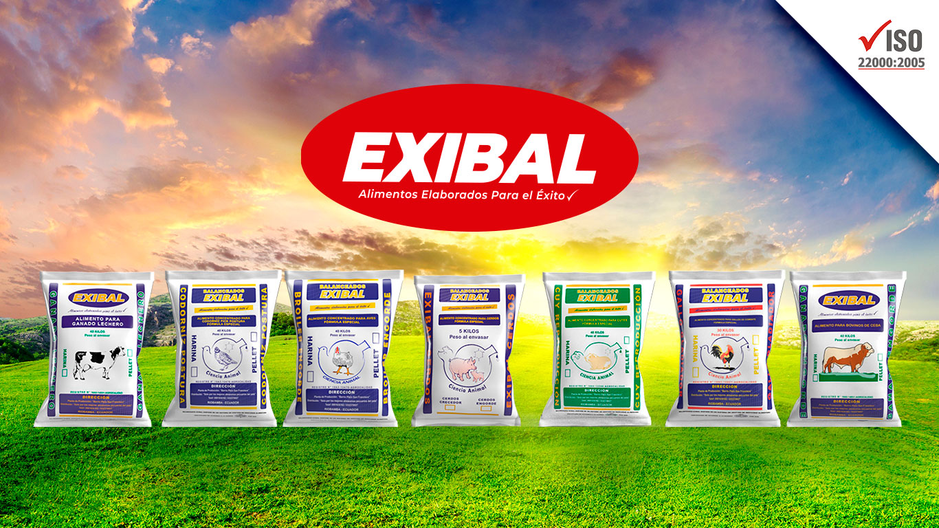 dog Archivos - Exibal